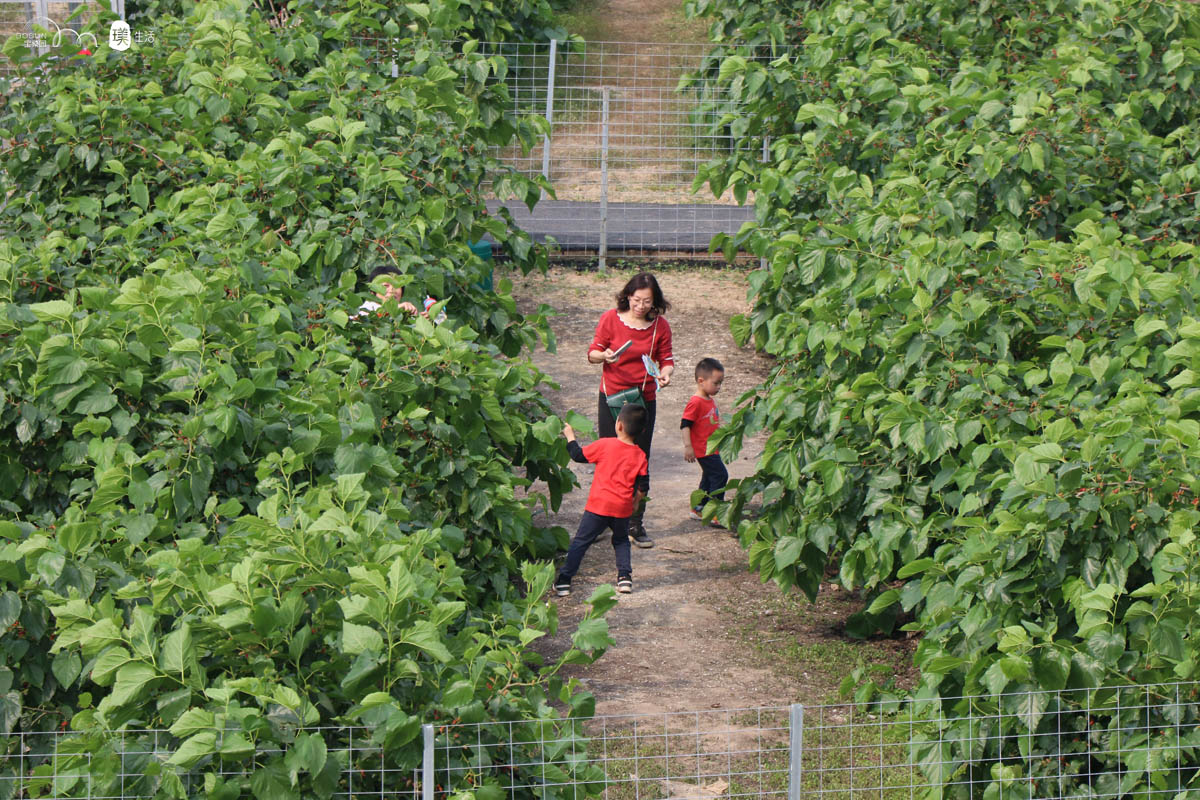 Reviving Sericulture via the Integrated Design of Bosun Garden | GVL ...