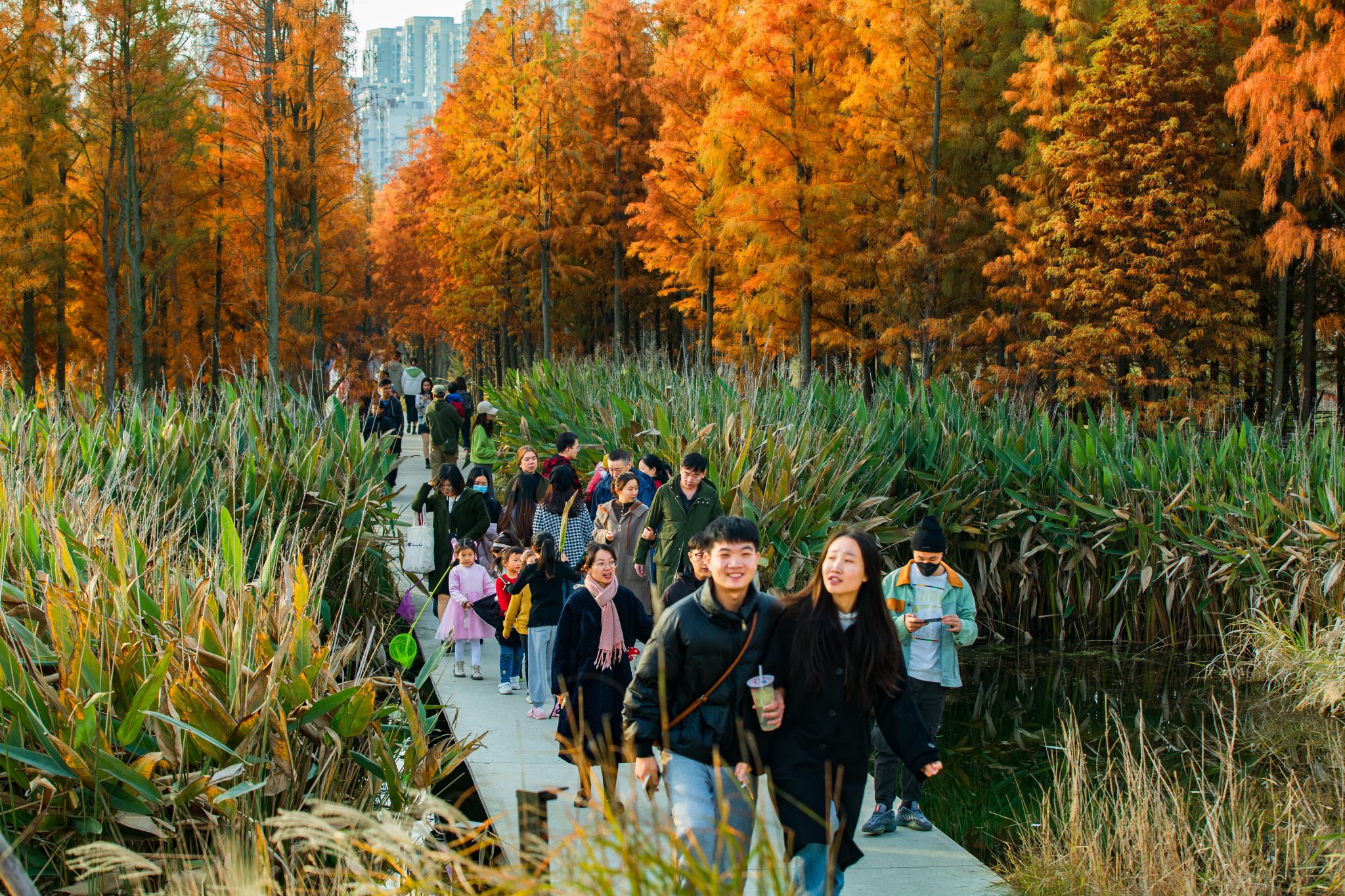 A Floating Forest: Fish Tail Park in Nanchang City