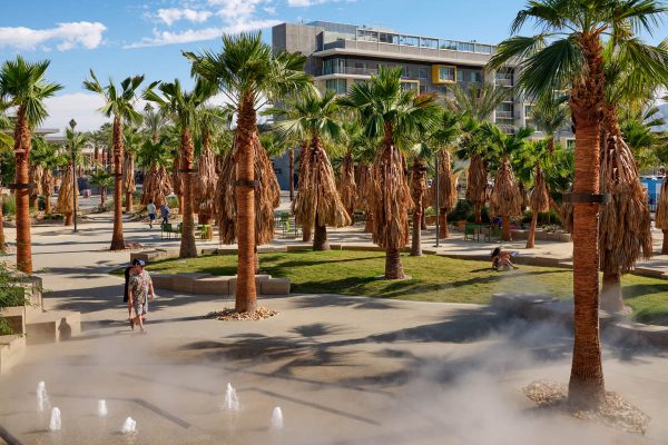 Palm Springs Downtown Park | RIOS