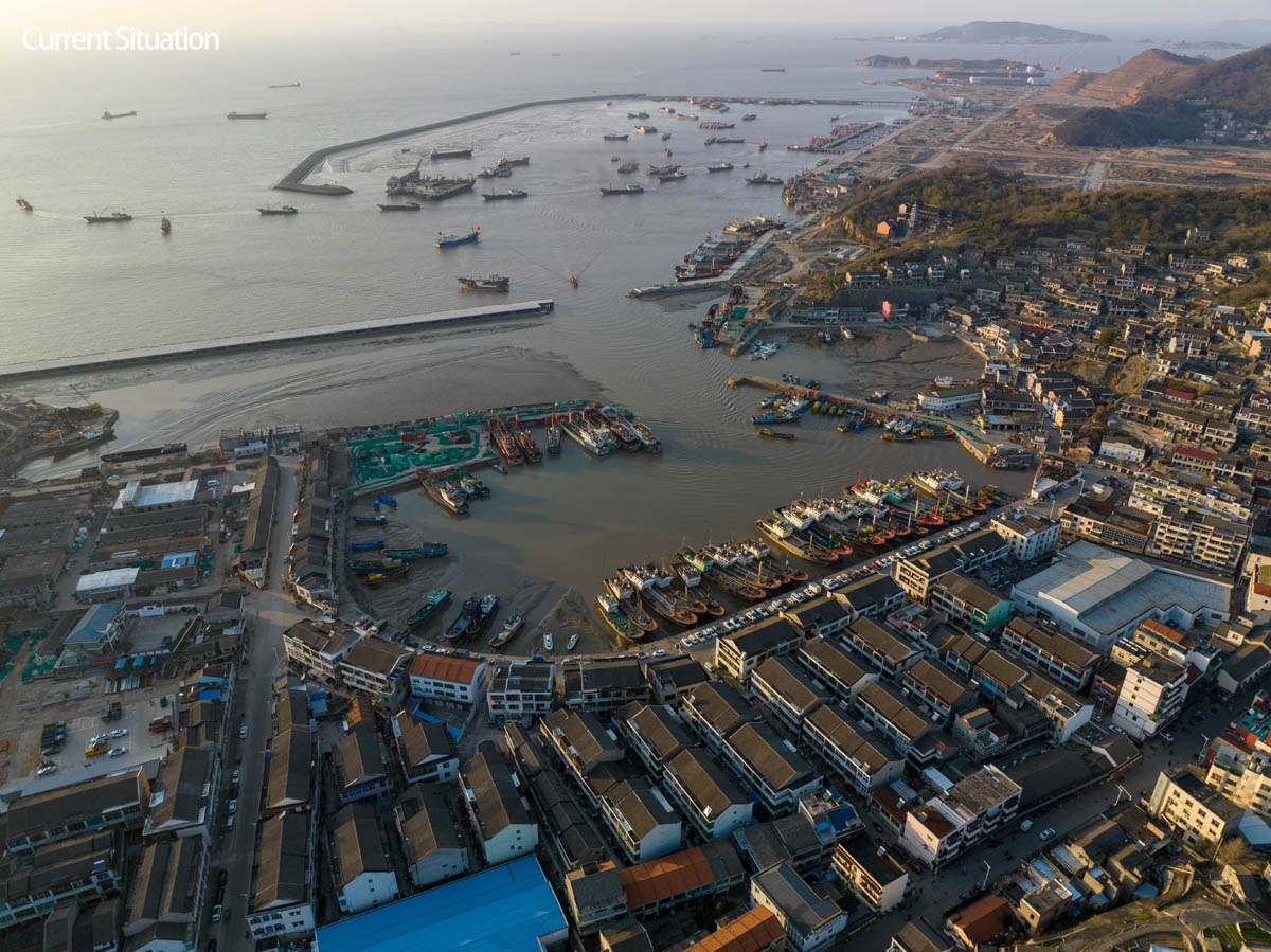 The revival plan of Dao Dou | Antao