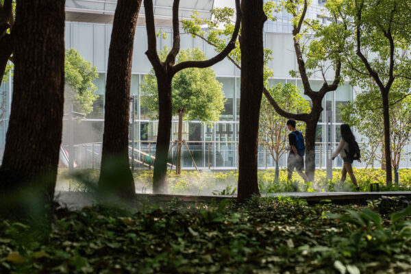 Shanghai Library East | landscape for the city