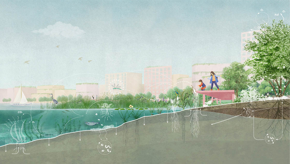 Nature Based City of Almere - Development Plan 2040