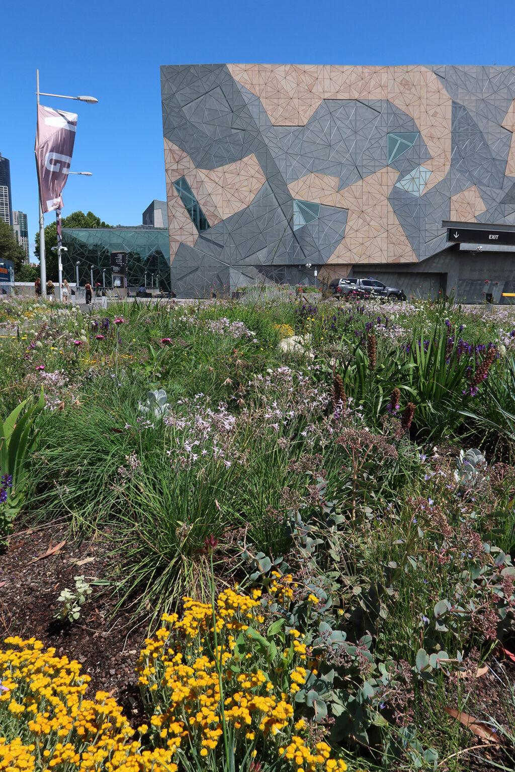 Test Garden opens at Federation Square